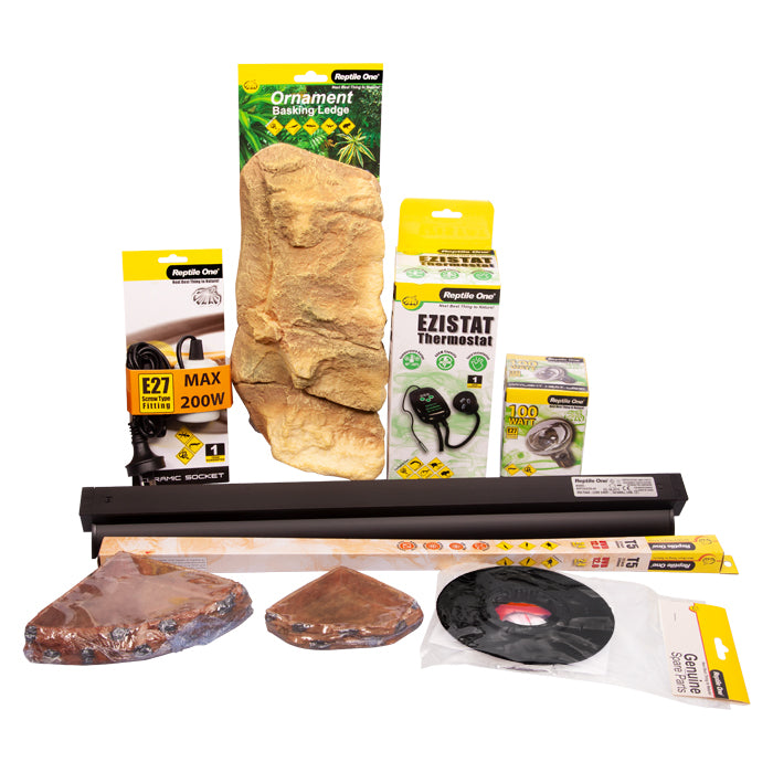 Bearded Dragon Starter Kit – TAMWORTH PET CENTRE