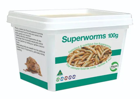 100G SUPERWORMS – TAMWORTH PET CENTRE